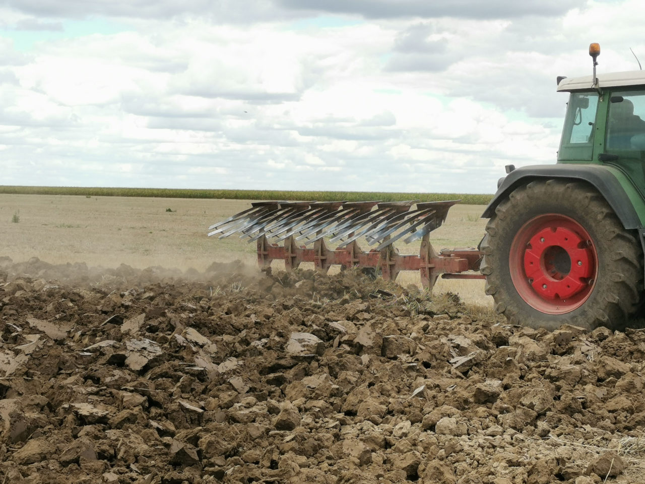Labours - Élevage de l'Étoile